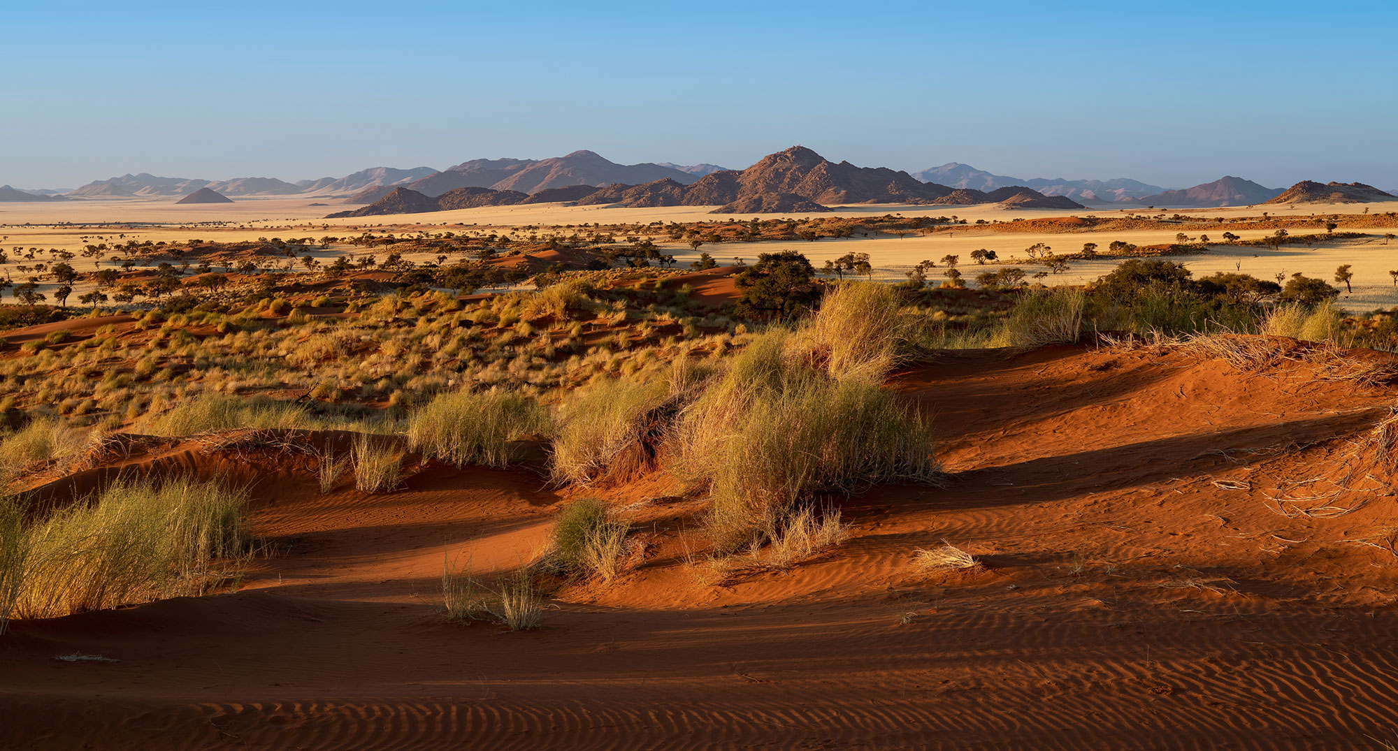 Koryx Copper - The new Namibian Copper Champion